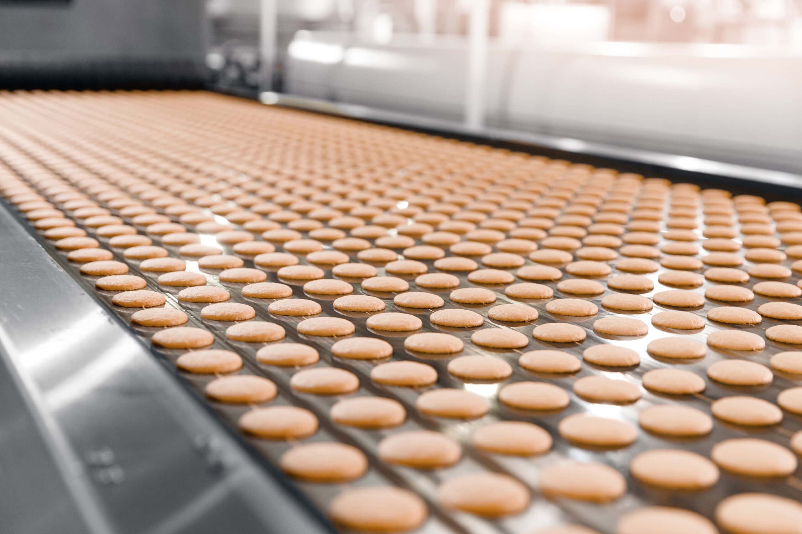 Importance of Cleaning Food Conveyor Belts | Electro-Steam